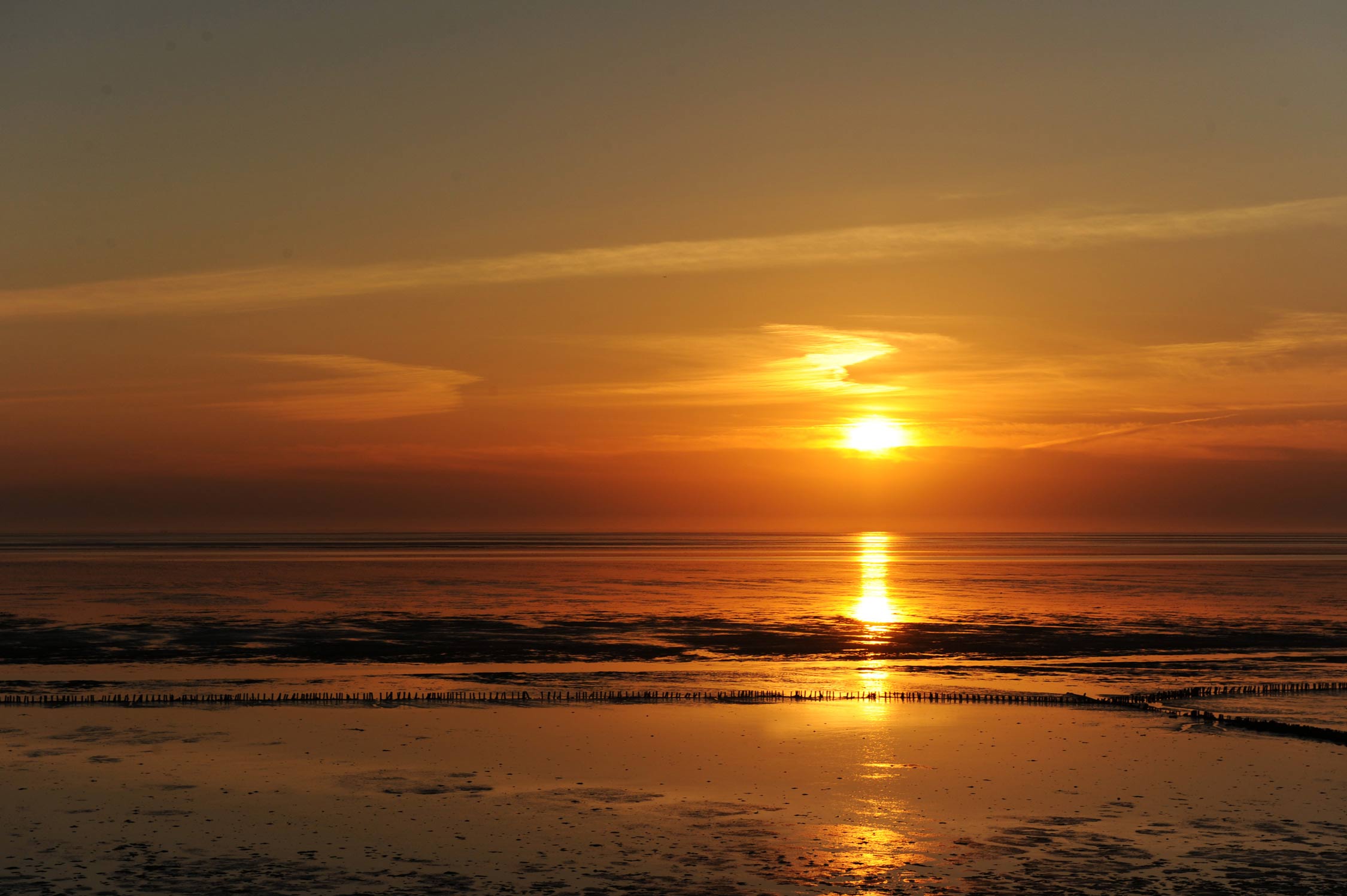 Sylt – kliffside